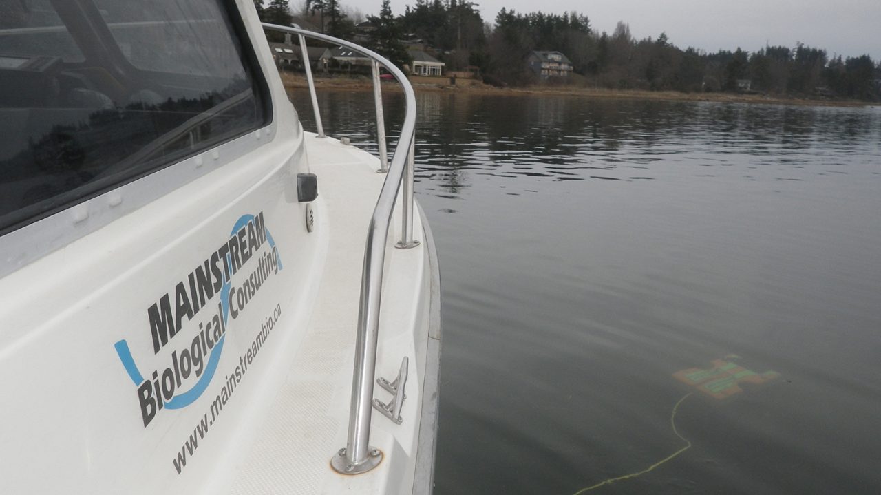 ROV • Mainstream Biological